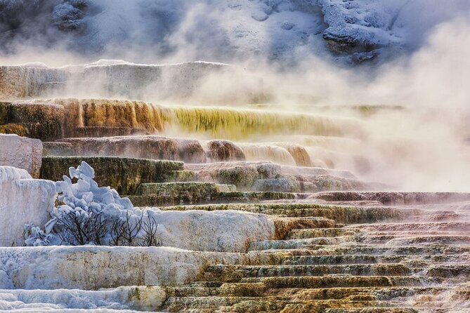 4-Day Yellowstone and Mount Rushmore Tour from Salt Lake City - The Transportation and Group Experience