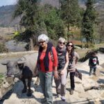 4-day Yuanyang & Stone Forest Photograph Tour - Who Will Love This Tour?