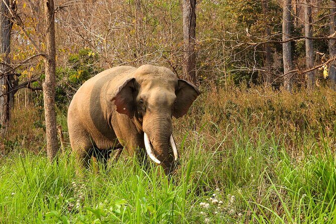 4 Days Bardia National Park Tour - Who This Tour Is Perfect For