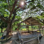 4 Days Cambodia Holiday (Phnom Penh & Siem Reap) - Whats Included and What to Consider