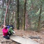 4 Days Poon Hill Trek - Breaking Down the Itinerary