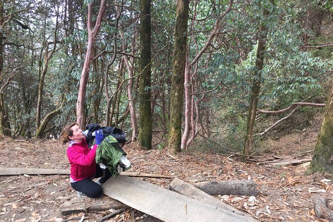 4 Days Poon Hill Trek - Breaking Down the Itinerary