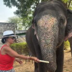 4-Days Private Golden Triangle Tour: Delhi, Agra & Jaipur - Day 2: Delhi to Agra — Home of the Taj Mahal