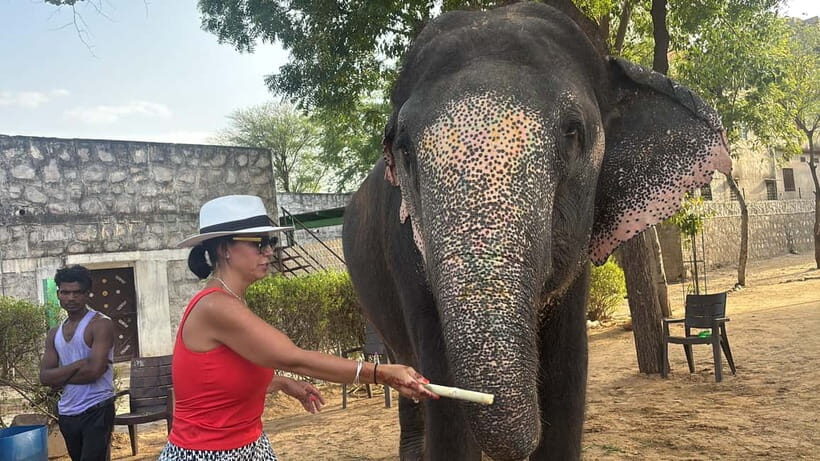 4-Days Private Golden Triangle Tour: Delhi, Agra & Jaipur - Day 2: Delhi to Agra — Home of the Taj Mahal