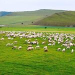 4 Days Tour: Central Mongolia - Final Thoughts