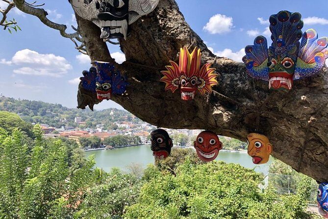 4 Days Tour to Kandy, Sigiriya & Nuwara Eliya - Who Will Love This Tour?