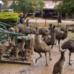 4 Days Tour to Pink Lake Kalbarri, Margaret River and South West - Practical Tips for Making the Most of Your Tour