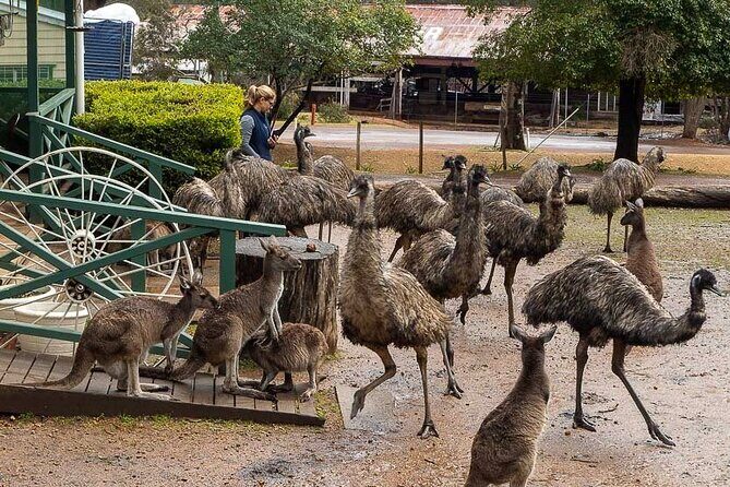 4 Days Tour to Pink Lake Kalbarri, Margaret River and South West - Practical Tips for Making the Most of Your Tour