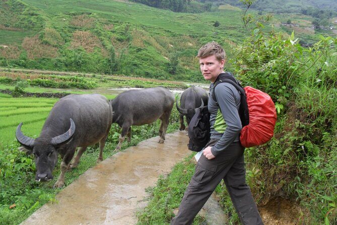 4 days trekking from Lao Cai to Hoang Lien National Park - Day 4: The Final Leg to Hoang Lien and Beyond