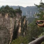 4 Days Zhangjiajie National Forest Park Hiking Tour(5-Star Hotel) - Who Will Love This Tour?