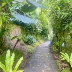 4 Easy Access Waterfalls Private Tour - The Itinerary: What to Expect