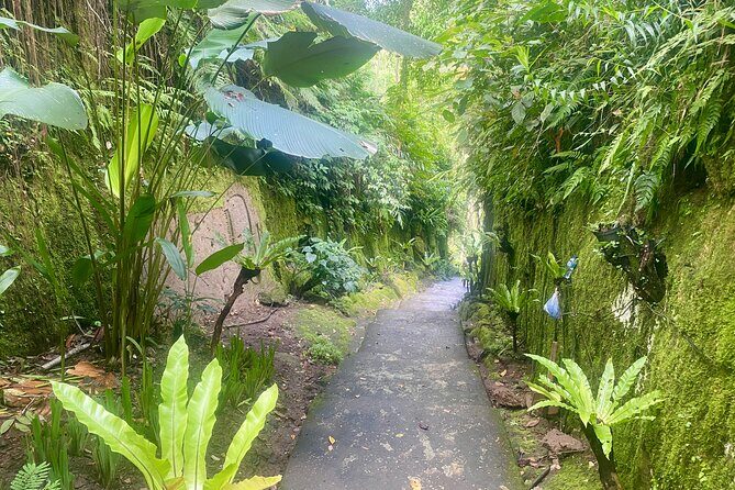 4 Easy Access Waterfalls Private Tour - The Itinerary: What to Expect