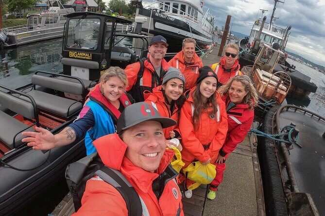4 Hour Afternoon Whale Watching Tour - The Experience of Wildlife Sightings