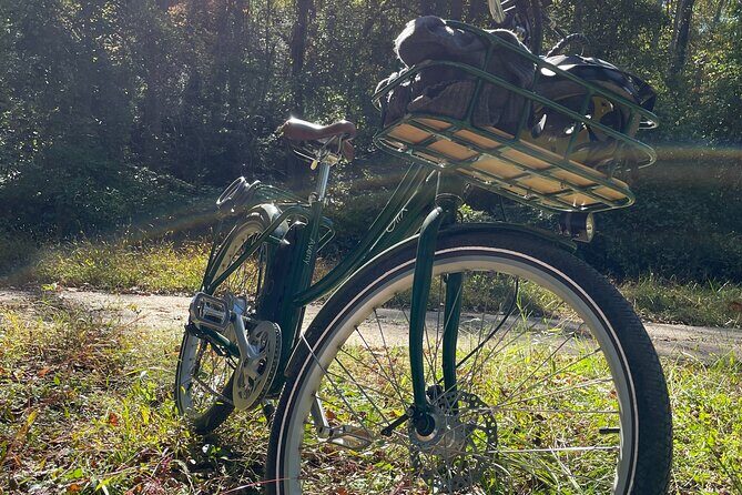 4 Hour Electric Bike Rentals in Asheville - The Bike Options and What They Mean for You