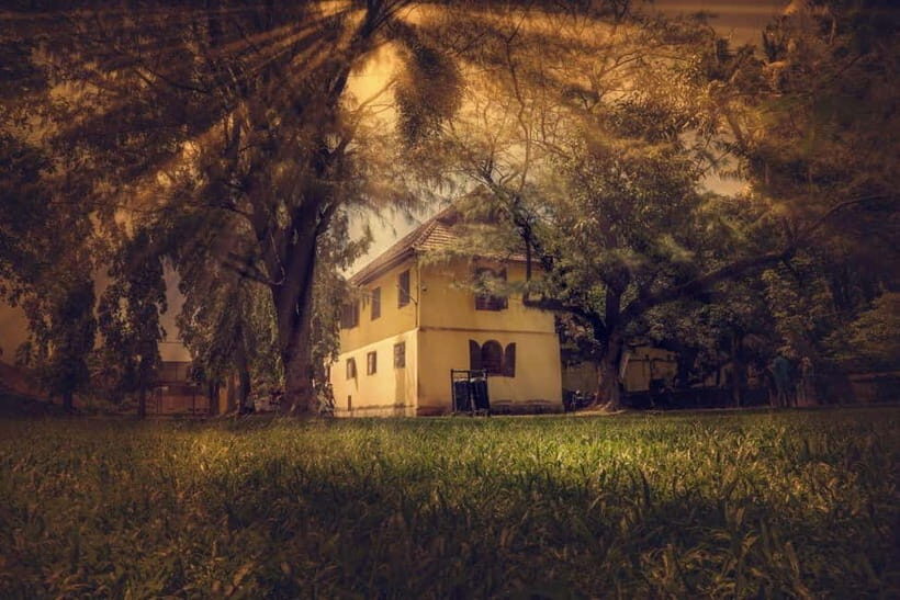 4-Hour Fort Cochin Sightseeing Tour - What Travelers Say