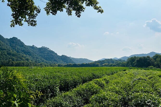 4-Hour Hangzhou Highlights Tour of Lingyin Temple and West Lake - Why This Tour Is a Good Deal