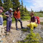 4 Hour Off-Trail Wilderness Wonders Tour in Denali - Practical Considerations