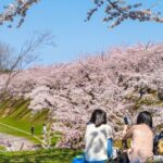 4 Hour Private Cherry Blossom "Sakura" Experience in Nagasaki - Who Should Consider This Tour?