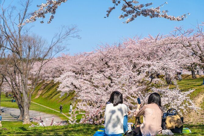 4 Hour Private Cherry Blossom "Sakura" Experience in Nagasaki - Who Should Consider This Tour?