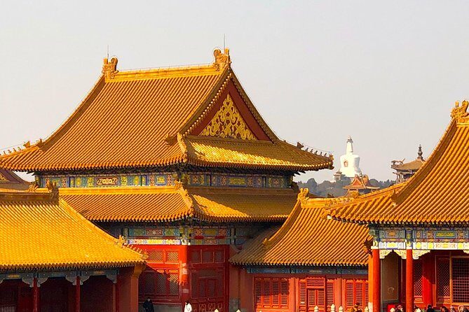 4-Hour Private Forbidden City Tour in Depth - A Well-Balanced Tour for History and Comfort Seekers