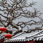 4-Hour Private Forbidden City Walking Tour with Bird's ViewOption - Deep Dive into the Experience
