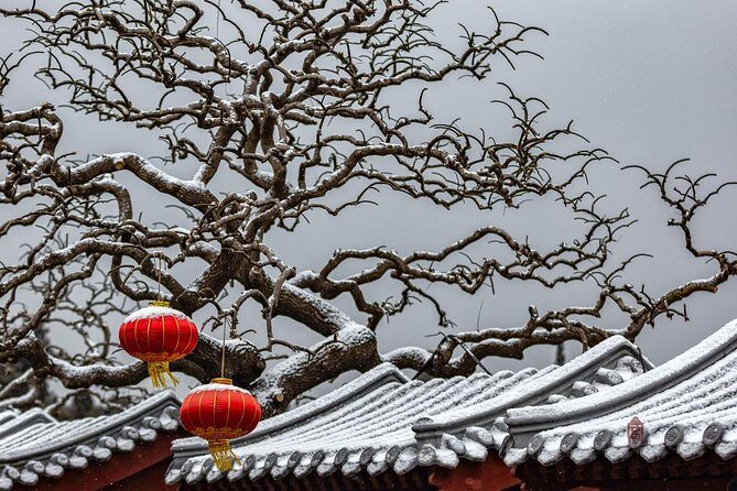 4-Hour Private Forbidden City Walking Tour with Bird's ViewOption - Deep Dive into the Experience
