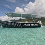 4 Hour Private Humpback Whales Encounter in Moorea - The Price: Considering the Value