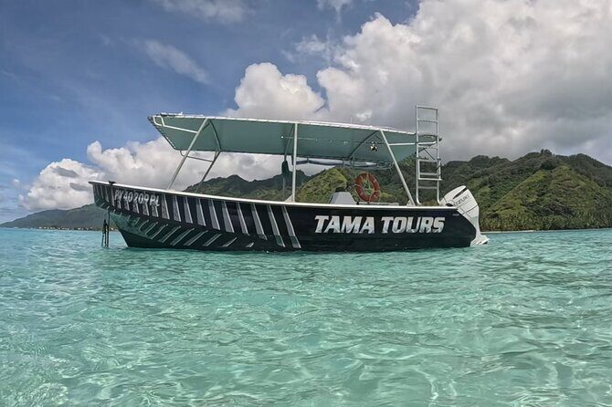 4 Hour Private Humpback Whales Encounter in Moorea - The Price: Considering the Value