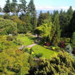 4-Hour Private Tour of Vancouver's Gardens - The Experience with Guides