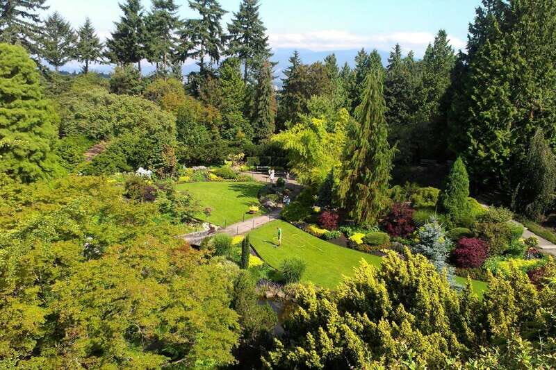 4-Hour Private Tour of Vancouver's Gardens - The Experience with Guides
