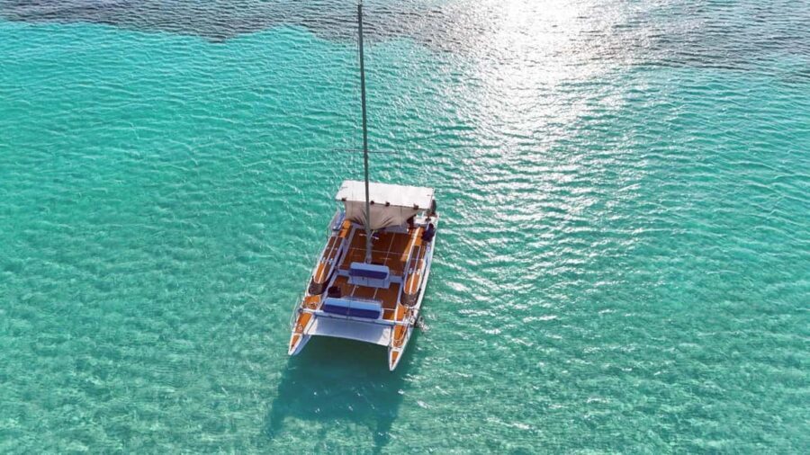 4 Hour Turtle Sanctuary Experience on a Luxury Catamarán - Final Thoughts: Is It Worth It?