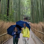 4 Hours Arashiyama and Arashiyama Monkey Park Tour - In-Depth Look at the Itinerary