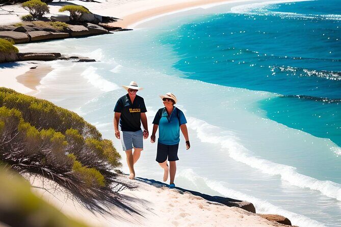 4 Hours Perth City Highlights with Private Chauffeured Tour - What Reviewers Are Saying