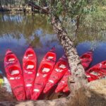 4 Hours Swan Valley Kayak, Wine & Dine Experience - The Experience in Depth
