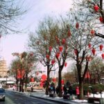 4 Hours Xian Tour of City Wall and Big Wild Goose Pagoda - Who Would Appreciate This Tour?