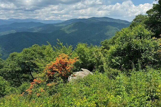 4 Hr Maggie Valley Slingshot Automatic Rental - Who Is This Experience For?