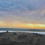4-in-1 Tour - Mazunte, Cacao Factory & Turtle Spawn/Release - The Value of This Tour