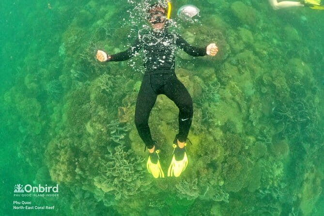 4 Islands & 2 Reefs - Discovery Snorkeling & Relaxing (MAX 12) - The Downside? Weather and Schedule Flexibility