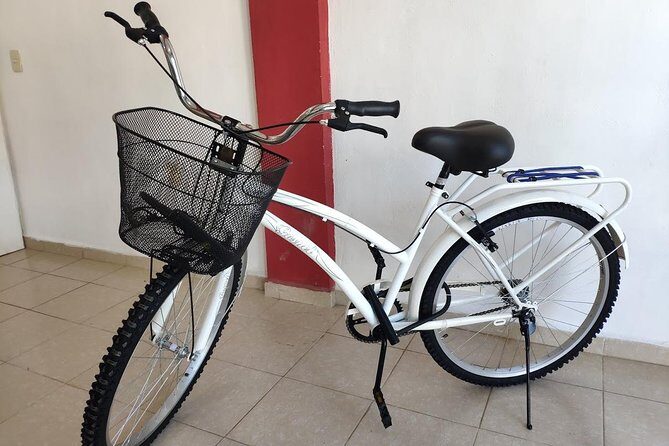 4 to 7 Day Beach Cruiser Rental (Up to 7 Days, includes Ulock) - Detailed Breakdown of the Experience