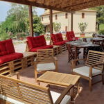 4 WINES TASTING in a Chianti Classico Farm (Visit/tour at the winery included) - A Warm Welcome and a Deep Dive into Tuscan Winemaking