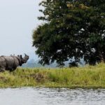 4D/3N Kaziranga safari special - Practical tips for travelers