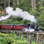 4D3N Best Bits Victoria Sightseeing Tour - Day 1: The Coastal Marvels of the Great Ocean Road