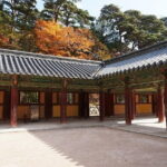 4D3N Busan & Gyeongju by KTX Train with 4 star hotel - What Travelers Say and Why It Matters