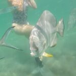 4H Snorkeling and Fishing Cruise on Magnetic Island - Who Will Appreciate This Tour?