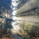 4hr Custom Private Tour of Ketchikan (14 People) Wildlife + More - Key Points