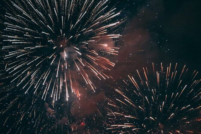 4th of July Fireworks Boat Party - Who Is This Tour Best For?