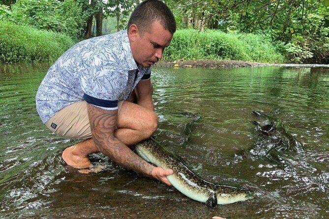 4x4 Moorea Safari Tours : Private tours - Authentic Experiences and Insights