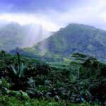 4x4 Tour - Craft and Agritourism Culture in Raiatea - Why This Tour Offers Good Value