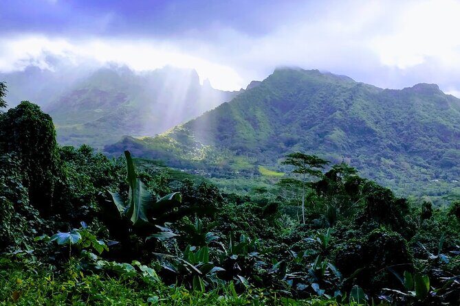 4x4 Tour - Craft and Agritourism Culture in Raiatea - Why This Tour Offers Good Value