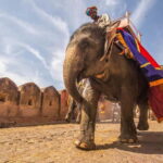 5-Day Golden Triangle Tour: Delhi, Agra & Jaipur - The Value of This Tour